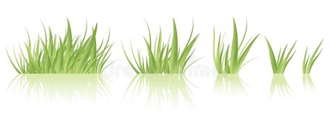 Grass Tuft Stock Illustrations 2169 Grass Tuft Stock Illustrations