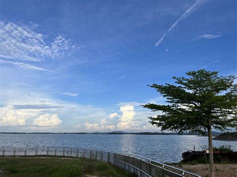 Carol Zhong On Linkedin After Rainning