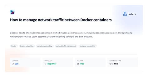 Docker 컨테이너 간 네트워크 트래픽 관리 가이드 Labex