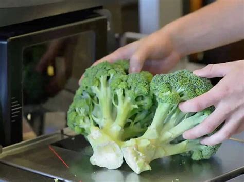 Pre Trained Models Sentisightai