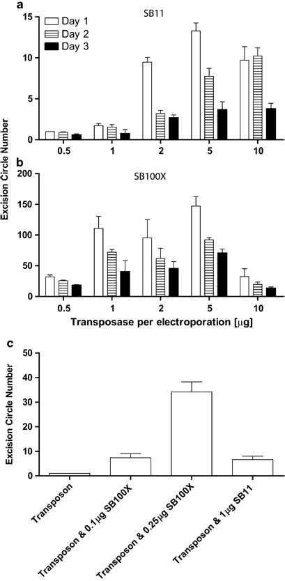 Evaluation Of Transposase Activity By Detecting Excision Circle Download Scientific Diagram