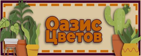 Комнатные растения • Объявления • Иваново | Оазис Цветов •. Доска ...