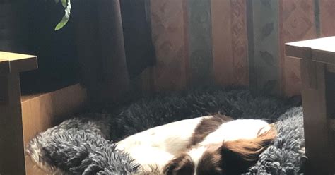 Eternally 28 For Sooze Xx