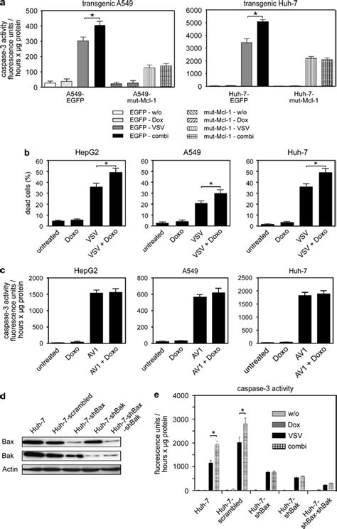 Combination Of Vesicular Stomatitis Virus Vsv And Chemotherapy Download Scientific Diagram