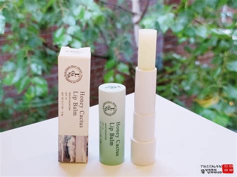 자외선 차단보습이 한 번에 코니샤 오아시스 허니캑터스 립밤 네이버 블로그