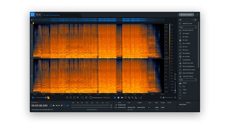 How To Use Izotopes Rx 7 Standard Blog Splice