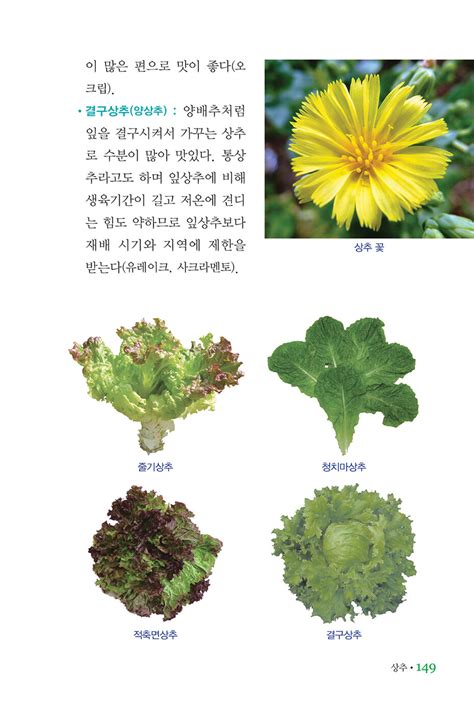 알라딘 미리보기 도시농부의 텃밭 주말농장 재배 가이드