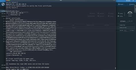 How To Set Up A Harbor Registry With Self Signed Certificates For Tanzu