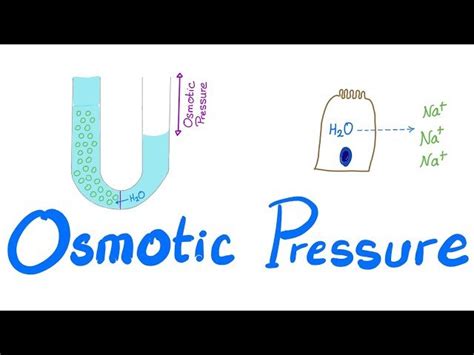 Free Video Osmotic Pressure Physiology From Medicosis Perfectionalis Class Central