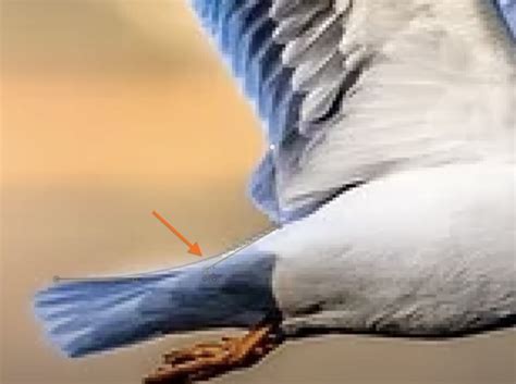 How To Remove Background In Gimp Methods Unlimited Graphic Design Service