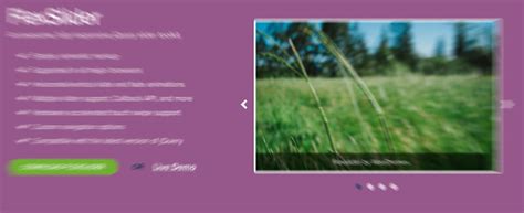 Wordpress Plugin Flexslider Admin ヽ ﾉ