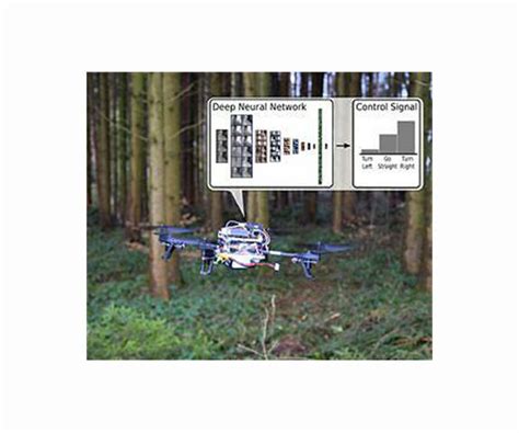 Drones Showcase Wildlife Counting Skills In The Epicduckchallenge