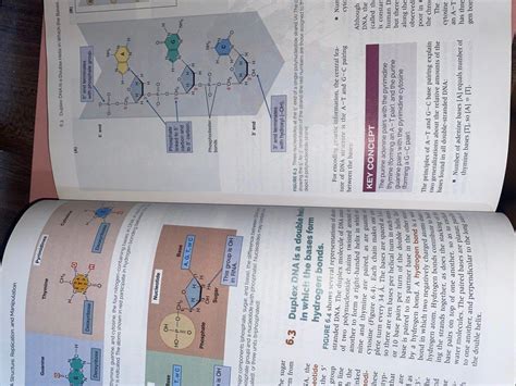 Essential Genetics And Genomics 7th Ed By Daniel Hartl Hobbies And Toys Books And Magazines