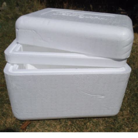 Styrofoam Cooler Vs Plastic Cooler At Edith Vreeland Blog