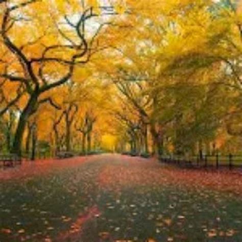 Maheshwaran S Youtube