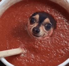 Lost In The Sauce S Tenor