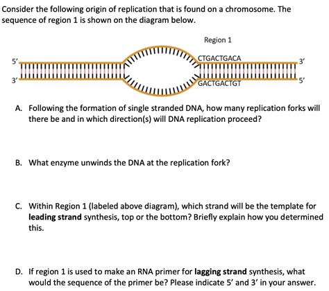 solved consider the following origin of replication that is