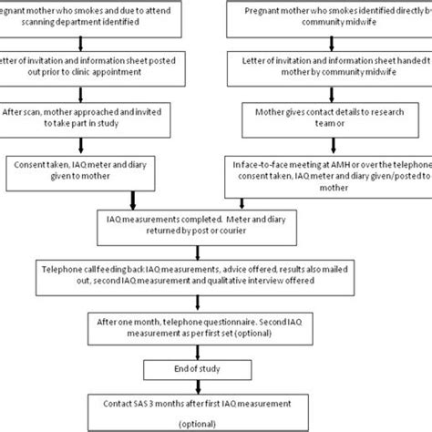 Flow Chart Showing The Participant Journey For Crib I Download
