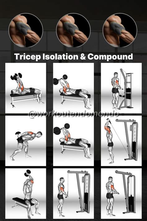 Target Your Triceps Isolation And Compound Exercises For Gains In 2025 Triceps Workout Tricep