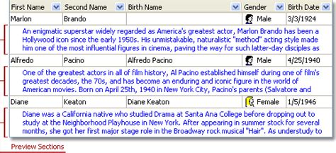 Preview Section Vcl Devexpress Documentation