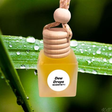 Premium Hanging Car Diffuser Dew Drops 10ml Lazada Ph