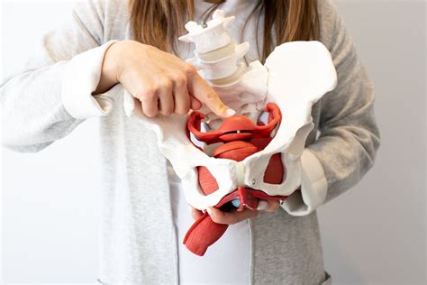 Pelvic Organ Prolapse And Pelvic Floor Physiotherapy