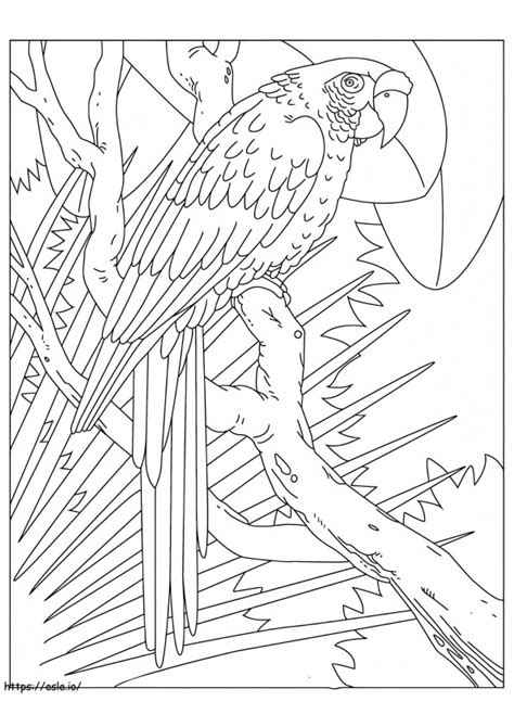 木 ぬりえ 塗り絵 塗り絵 無料