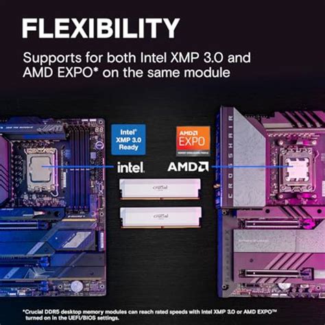 Adata Xpg Lancer Rgb 16gb Ddr5 6800mhz Vs Crucial Pro Overclocking 32gb 2x16gb Ddr5 6000mhz