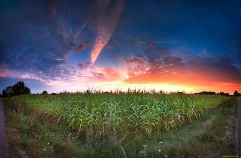 Обои Природа Поля обои для рабочего стола фотографии природа поля простор Обои для рабочего