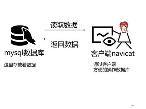 从零学会sql：入门（实操演示） 知乎