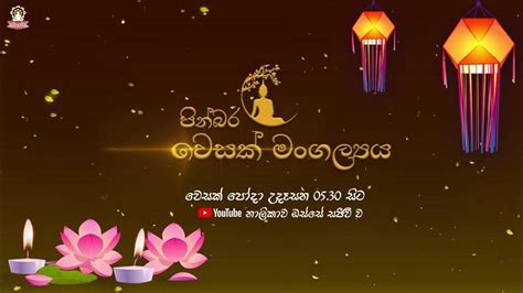 පින්බර වෙසක් මංගල්‍යයට සූදානම් වෙමින් Youtube