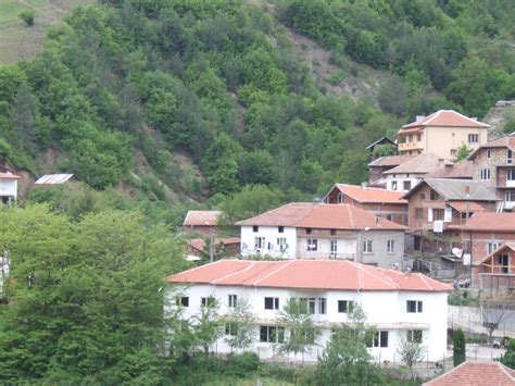 Codeweek ОУ Св Паисий Хилендарски с Долно Осеново