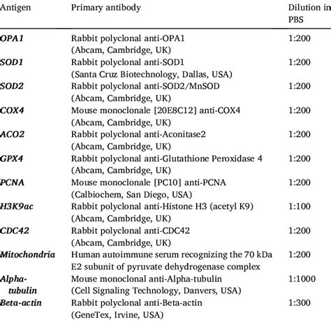 Primary Antibodies Used For The Fluorescence Immunocytochemistry