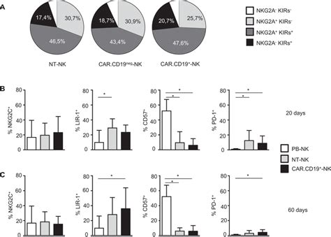 Flow Cytometry Analysis Of Feeder Free Nk Cell Subsets In Vitro