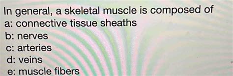 Solved In General A Skeletal Muscle Is Composed Of A Connective
