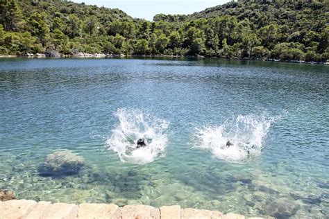 Lauak Errepidean 20110731 Isla Mljet Y Parque Nacional Mljet