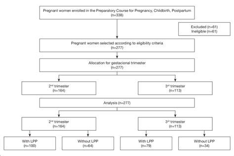 Study Distribution Flowchart LPP Lumbopelvic Pain Download