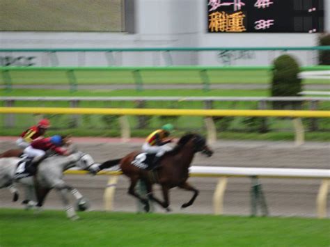 今日は競馬の日 旅に魅せられて