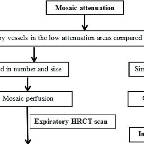 Flowchart Showing The Approach To The Assessment Of Mosaic Attenuation