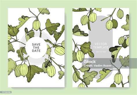 벡터 구스 베리 웨딩 배경 카드 꽃 테두리입니다 감사합니다 Rsvp 초대 그래픽 세트 잉크 아트가 새겨져 있습니다 0명에 대한 스톡 벡터 아트 및 기타 이미지 Istock