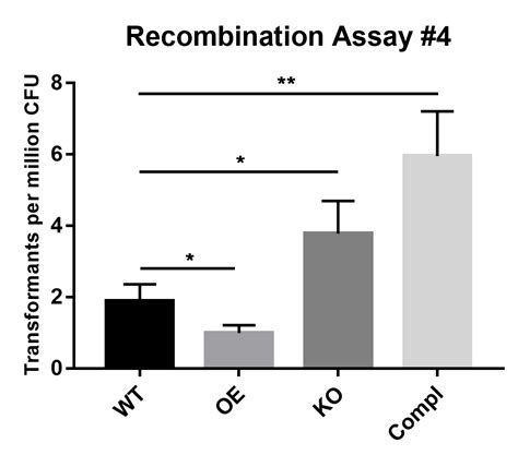 How Can The Complementation Of A Ko Gene Enhance The Ko Phenotype Researchgate