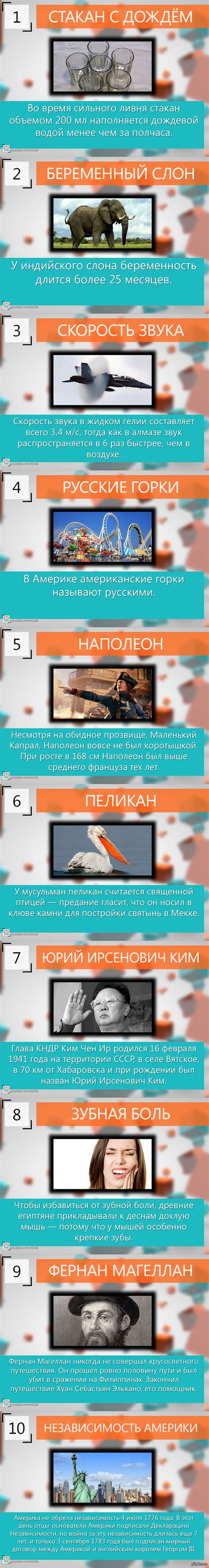 10 интересных фактов Пикабу