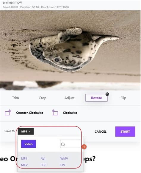 4 Ways To Rotate Videos On Windows PC 4 Ways To Rotate Videos On Windows PC