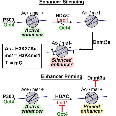 Featured News Purdue Center For Cancer Research Purdue University
