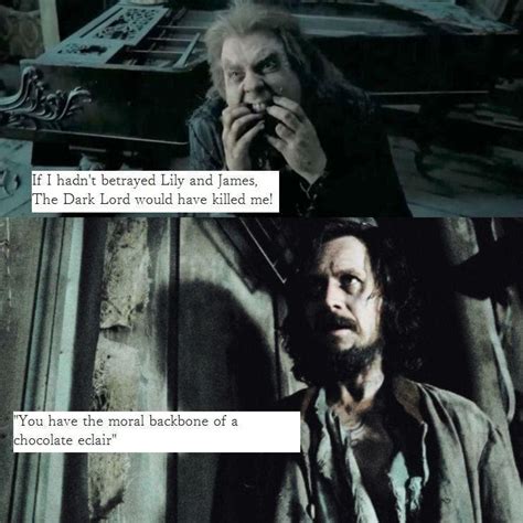 Sirius Black Harry Potter Memes