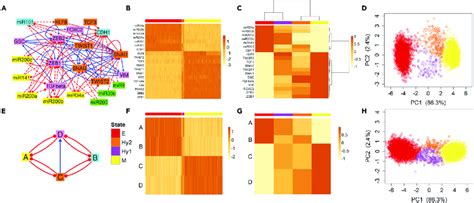 Coarse Graining A Gene Network Regulating Epithelial Mesenchymal