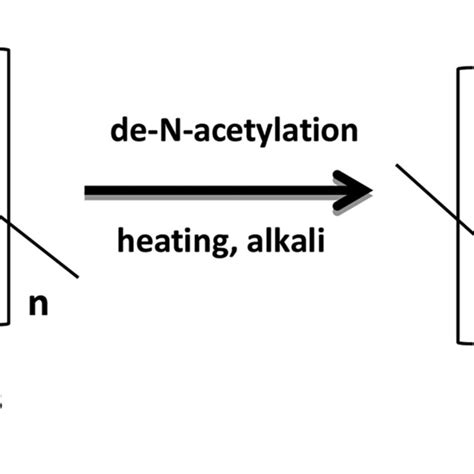 Chemical Structure Of Chitin And Chitosan And The De‐n‐acetylation Download Scientific Diagram