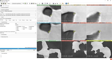 Resample Image Completed With Error Support 3d Slicer Community