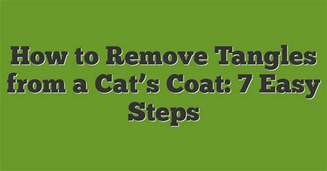 How To Remove Tangles From A Cats Coat 7 Easy Steps