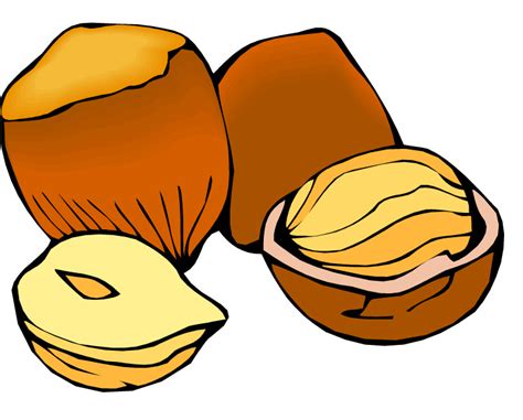 Nuts Clipart 19 Free Cliparts Download Images On Clipground 2026